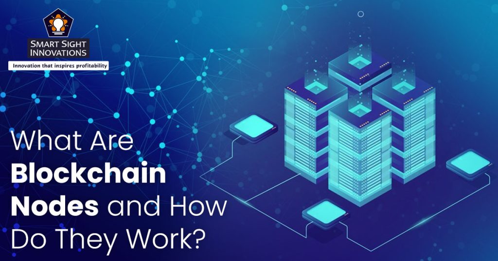 What Are Blockchain Nodes and How Do They Work?
